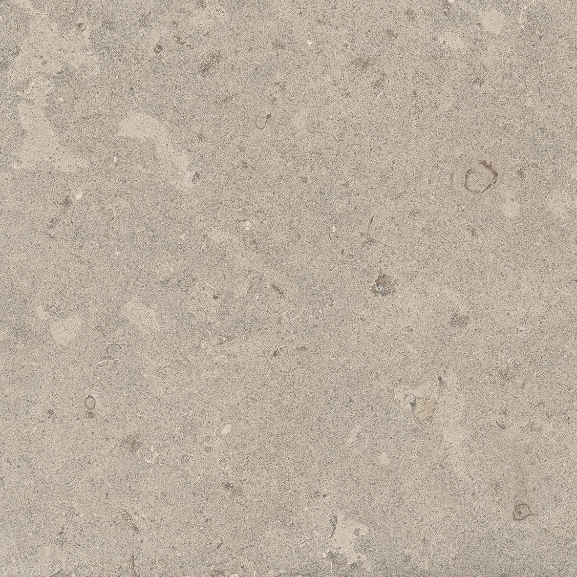 LITH ANTIQUE CREAM 12X24 MATTE - Porcelain Tile | Facings of America